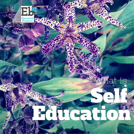 What is Self Education? | Elemental Blogging