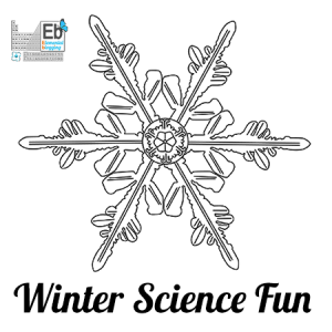 Winter Science Fun - Borax Snowflakes