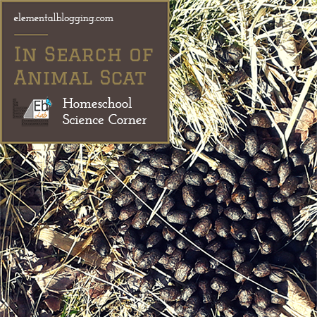 In Search of Animal Scat | Homeschool Science Corner