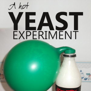 A Hot Yeast Experiment at the Science Corner