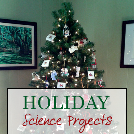 Holiday Science Projects