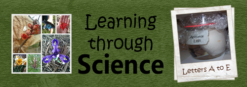 LtS letters facebook