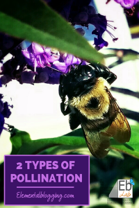 Types of Pollination