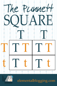 The Punnett Square